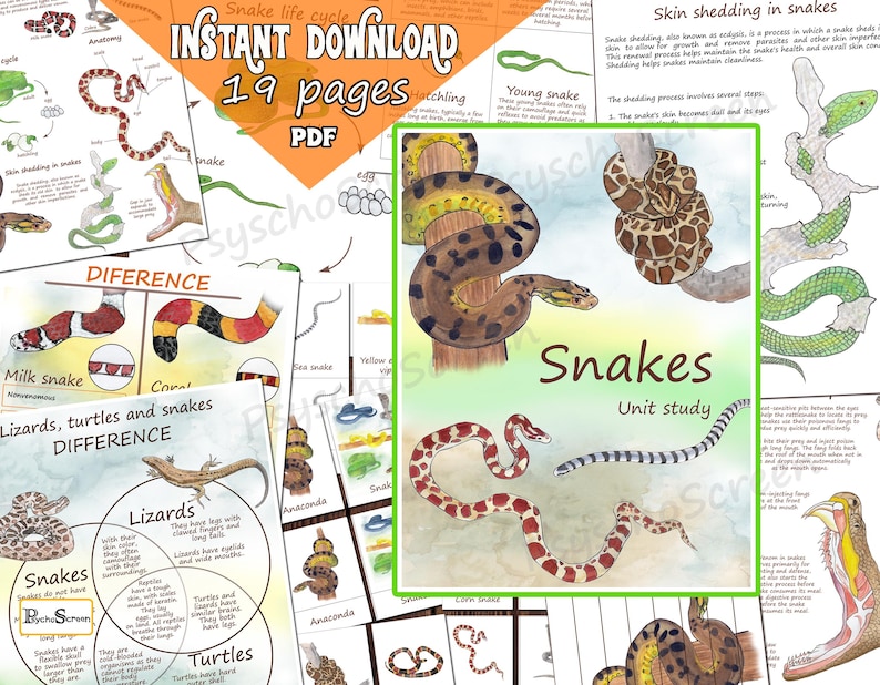 Snakes Unit Study: Anatomy, Life Cycle, Montessori Activities (PDF ...