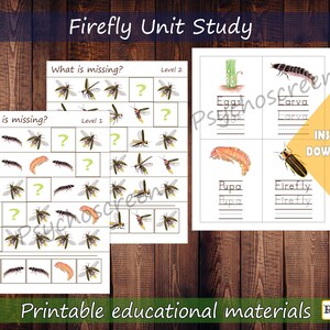 Firefly Unit Study: Watercolor Anatomy, Life Cycle, Games (printable ...