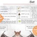 MOUSE & BAT Unit Study MEGA Printable Bundle Posters, Anatomy, Diagram ...