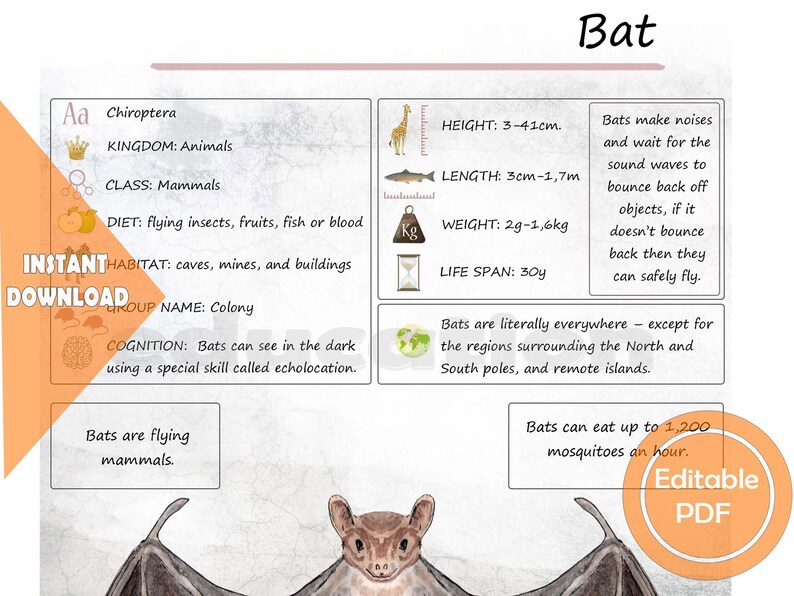 MOUSE & BAT Unit Study MEGA Printable Bundle Posters | Etsy