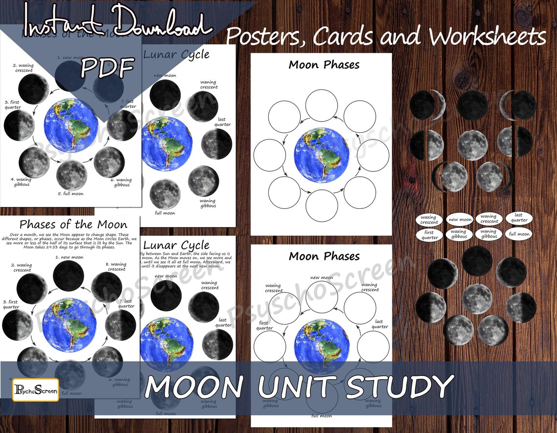 Moon Unit Study: Homeschool Science, Lunar Cycle Activities (PDF ...