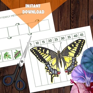 5 NATURE SETS, Bundle of Insects Anatomy and Life Cycle Prints ...
