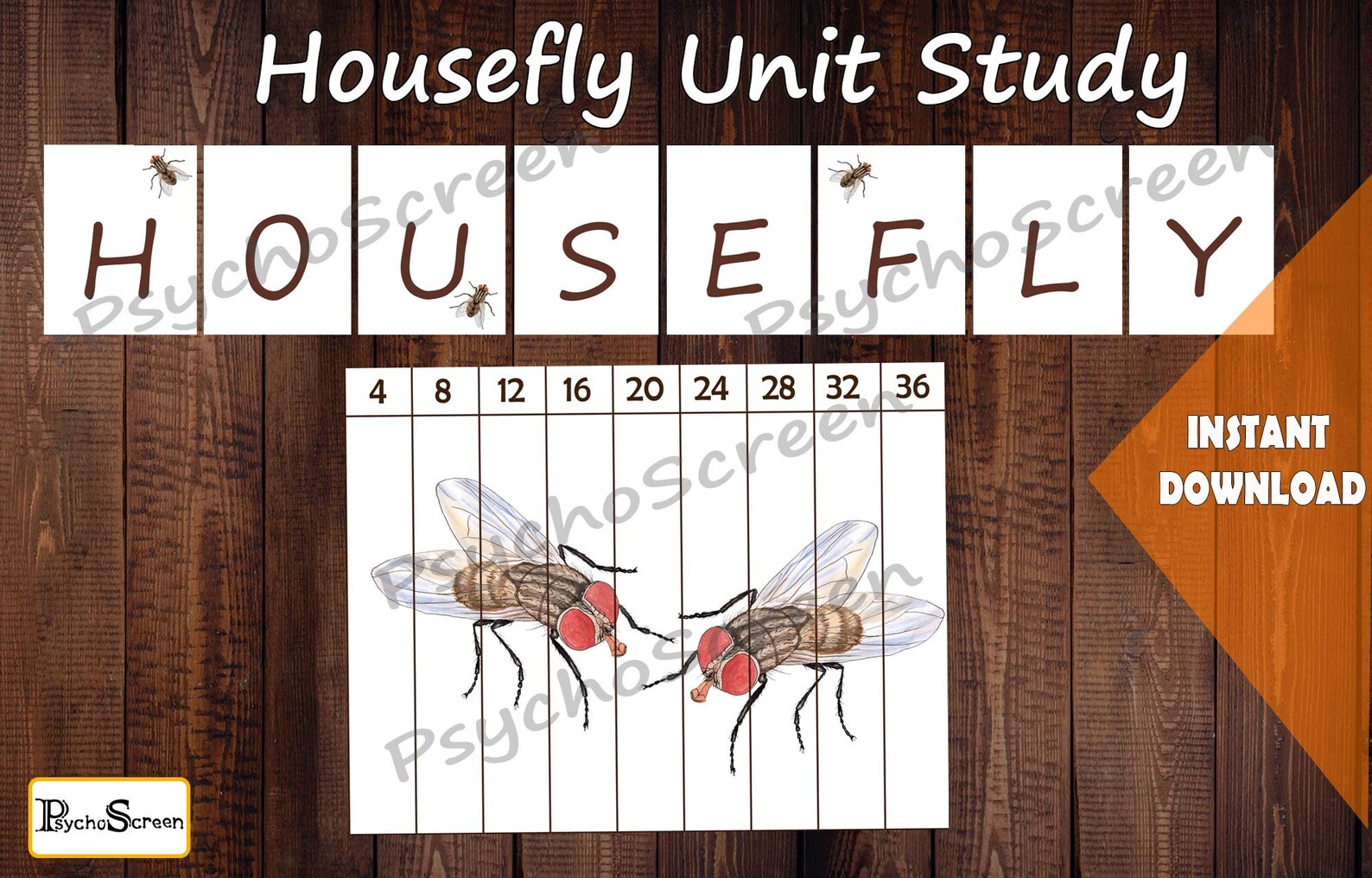 Housefly Life Cycle Unit Study MINI Printable Flies Bundle | Etsy