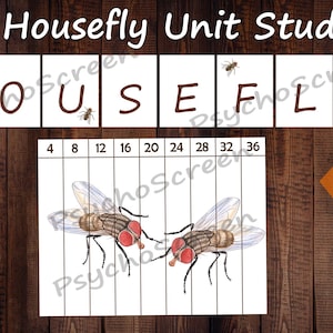 Housefly Life Cycle Unit Study MINI Printable Flies Bundle Life Cycle ...