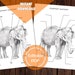 ELEPHANT Unit Study MINI Printable Bundle Anatomy, Diagram, Cards ...