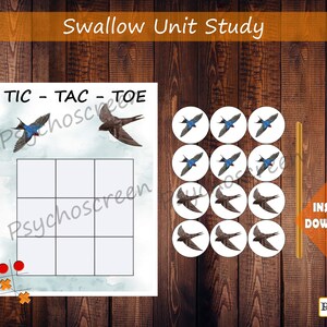 Swallow Anatomy and Life Cycle Activities for Preschoolers (printable ...