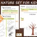 Nature Worksheets for Kids: Trees, Leaves, Flowers (digital Download ...