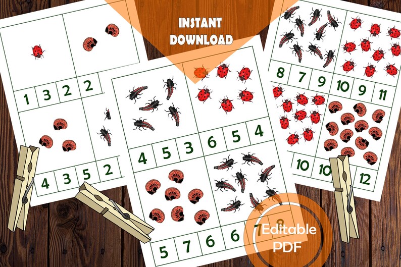 LADYBUG Unit Study MEGA Printable Ladybug Bundle Anatomy - Etsy