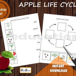 APPLE Unit Study MEGA Printable Apple Bundle Anatomy, Life Cycle, Cards ...