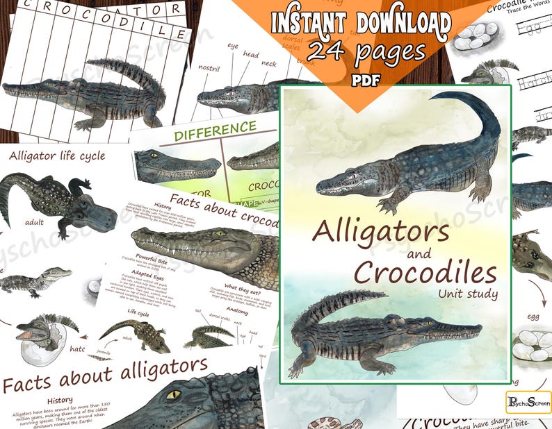 Reptile Unit Study Bundle: Homeschool Science, Snakes, Turtles, Lizards ...