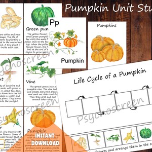 PUMPKIN Life Cycle Unit Study MINI Printable Pumpkins Bundle Poster ...