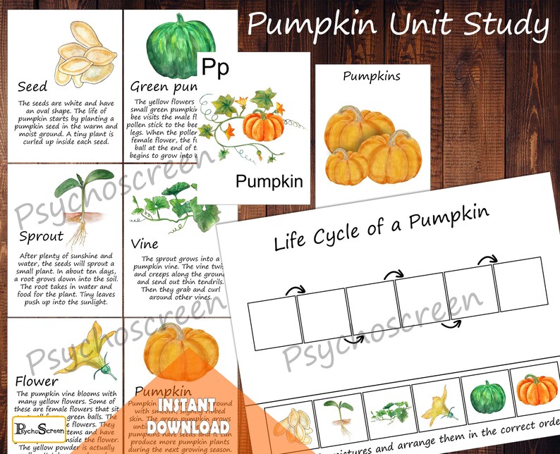 PUMPKIN Life Cycle Unit Study MINI Printable Pumpkins Bundle - Etsy