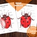 LADYBUG Unit Study, MEGA Printable Ladybugs Bundle With Anatomy ...