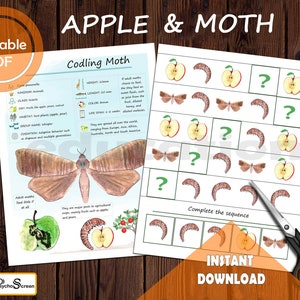 APPLE Unit Study MEGA Printable Apple Bundle Anatomy, Life Cycle, Cards ...