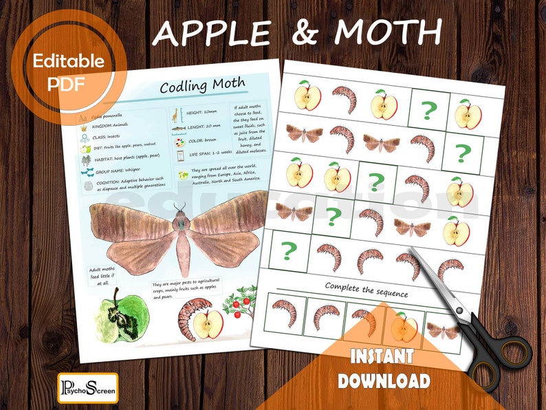 APPLE Unit Study MEGA Printable Apple Bundle Anatomy Life - Etsy
