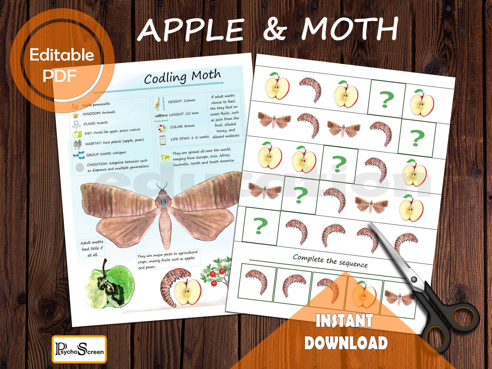 APPLE Unit Study MEGA Printable Apple bundle anatomy | Etsy