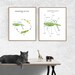 GRASSHOPPER Unit Study MEGA Printable Bundle Anatomy Life - Etsy