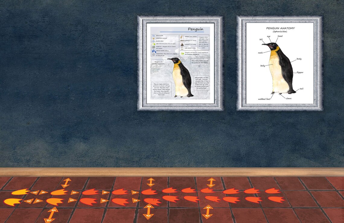 Penguin Anatomy Study for Kids: Printable Diagram & Sensory Path ...
