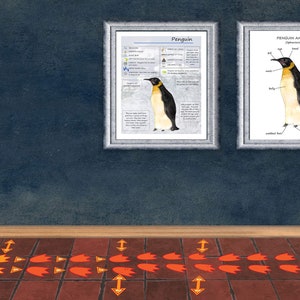 PENGUIN Unit Study: MEGA Printable Bundle With Anatomy, Diagram ...