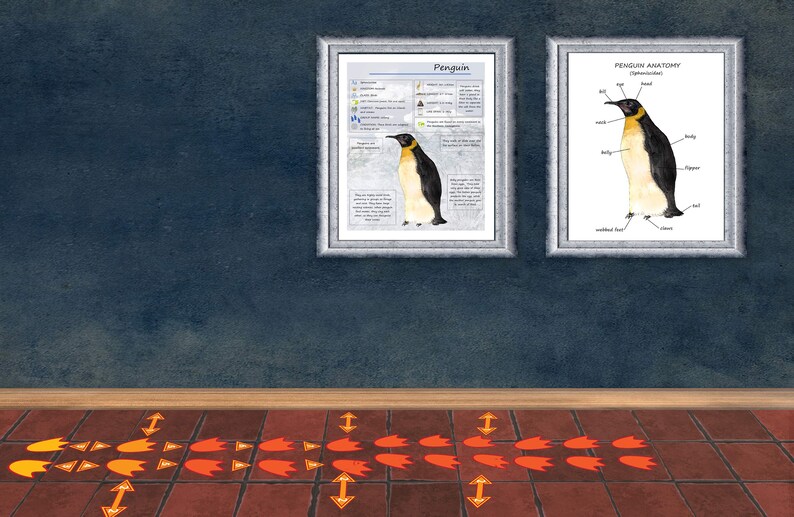 PENGUIN Unit Study MEGA Printable Bundle Anatomy Diagram - Etsy
