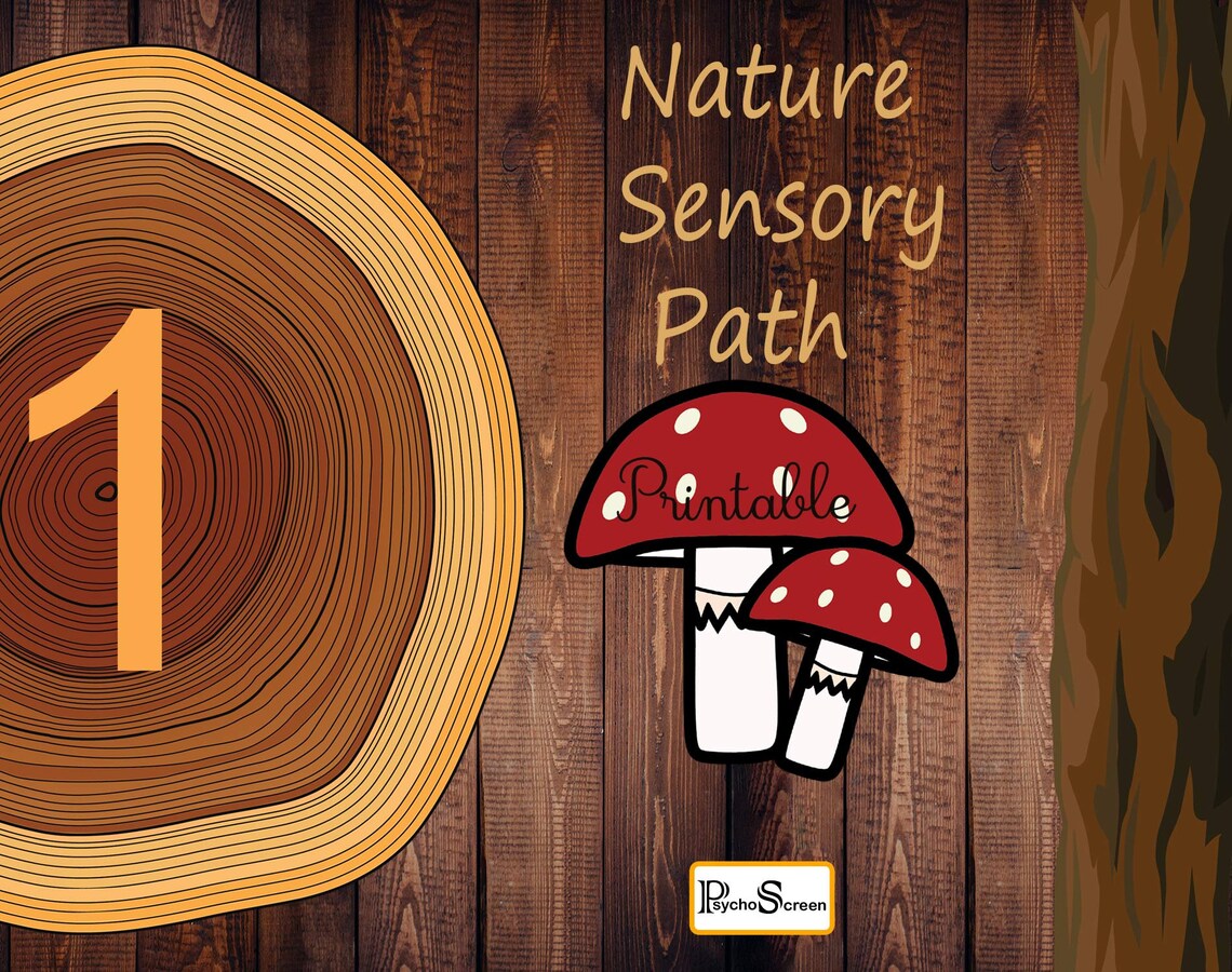 Nature Sensory Path Bundle: Autumn Leaves, Frogs, Flowers (digital ...