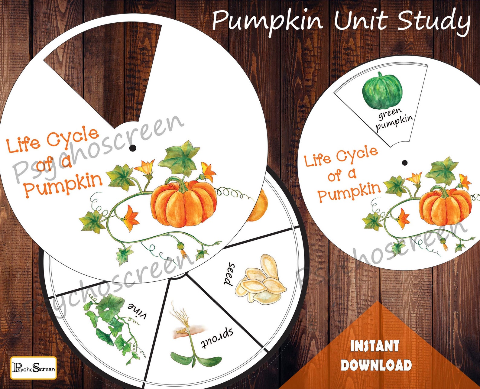 PUMPKIN Life Cycle Unit Study MINI Printable Pumpkins Bundle - Etsy