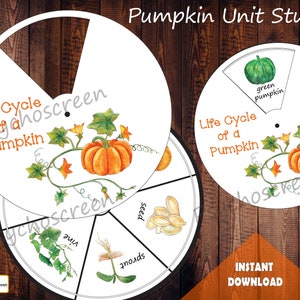 PUMPKIN Life Cycle Unit Study MINI Printable Pumpkins Bundle Poster ...