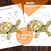 ANT Unit Study, MEGA Printable Ants Bundle for Anatomy, Life Cycle ...