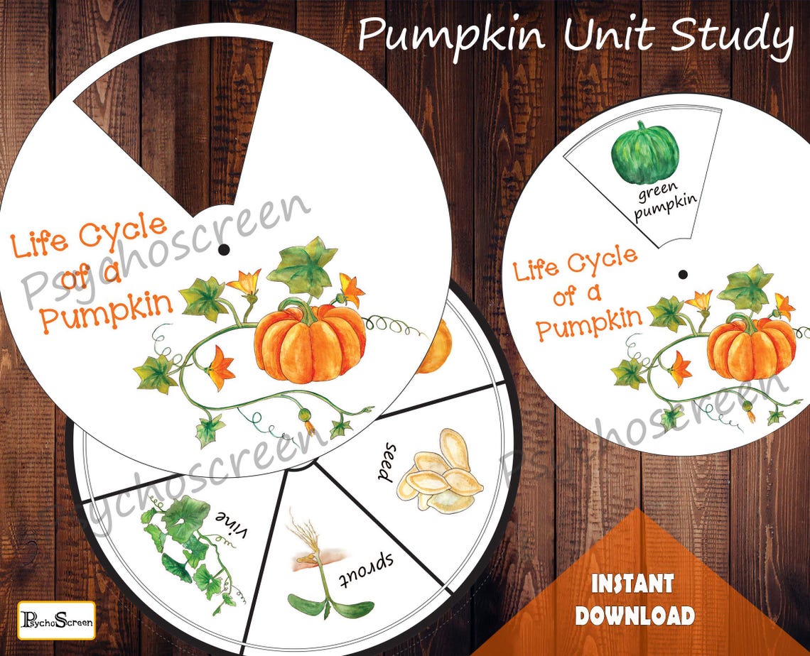 Montessori Pumpkin Anatomy, Life Cycle and Types in Activity Bundle ...