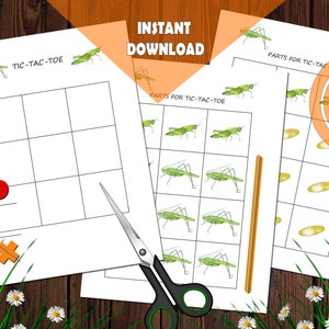 5 NATURE SETS, Bundle of Insects Anatomy and Life Cycle Prints ...