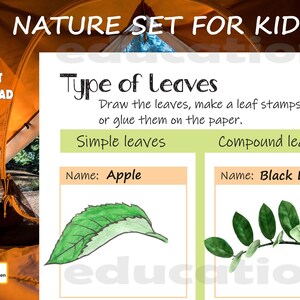 Nature Set Worksheets for Trees, Leaves, Flowers, Plant Lovers Gift ...