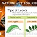 Nature Worksheets for Kids: Trees, Leaves, Flowers (digital Download ...