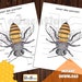 5 NATURE SETS, Bundle of Insects Anatomy and Life Cycle Prints ...