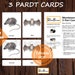 MOUSE & BAT Unit Study MEGA Printable Bundle Posters, Anatomy, Diagram ...