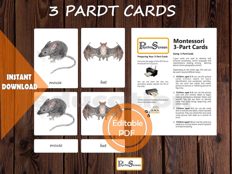 MOUSE & BAT Unit Study MEGA Printable Bundle Posters | Etsy