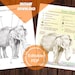 ELEPHANT Unit Study MINI Printable Bundle Anatomy, Diagram, Cards ...