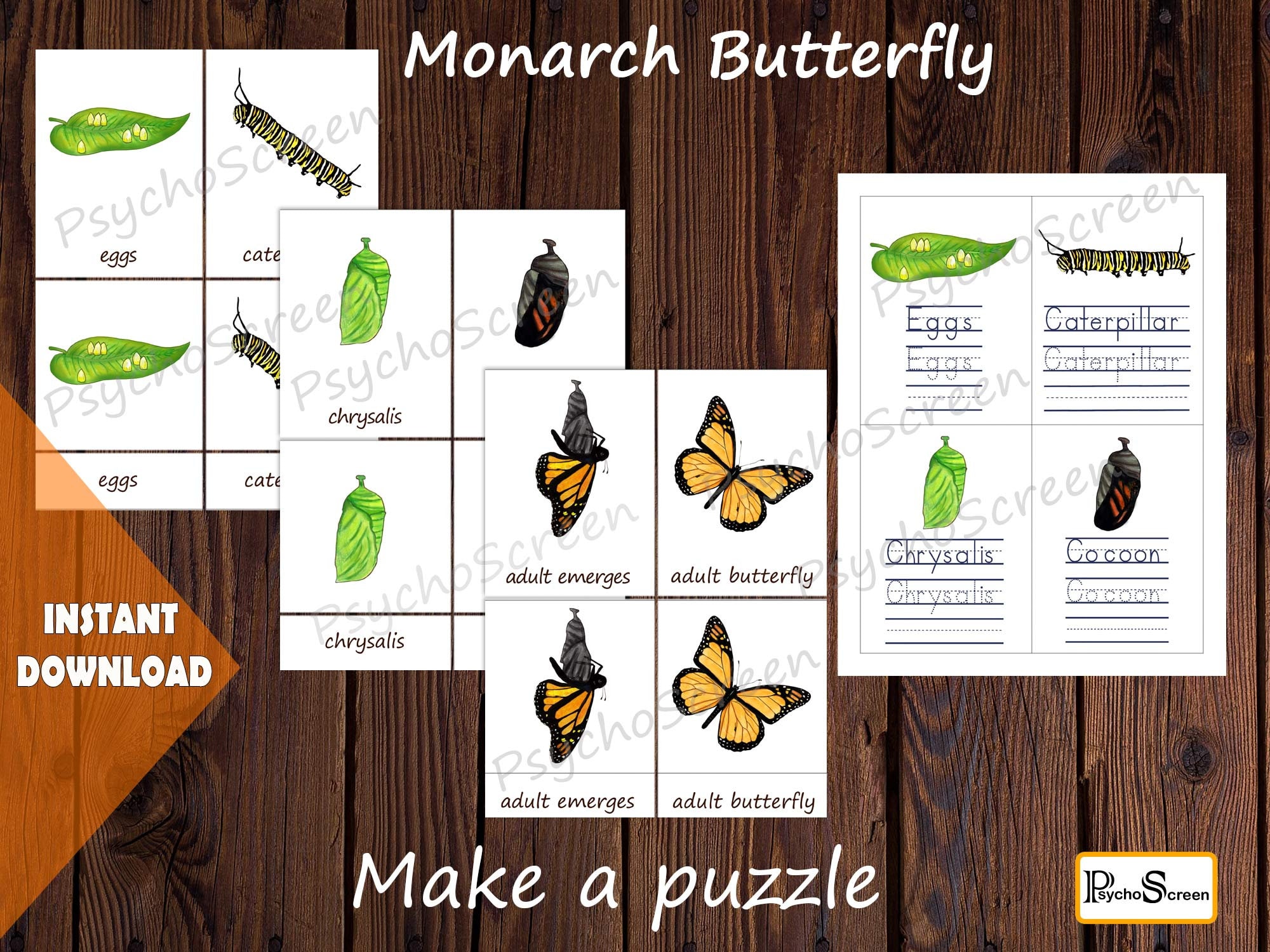 Montessori Caterpillar to Butterfly Life Cycle Printable and Anatomy ...