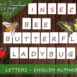 CATERPILLAR Unit Study, MEGA Printable Insect Bundle With Anatomy, Life ...