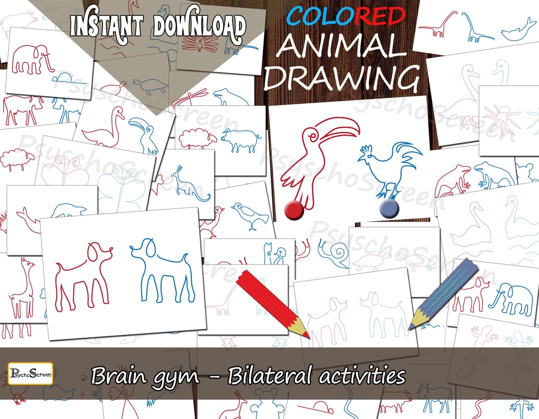 Animal Drawing Games: Brain Gym for Kids (printable PDF) - Etsy