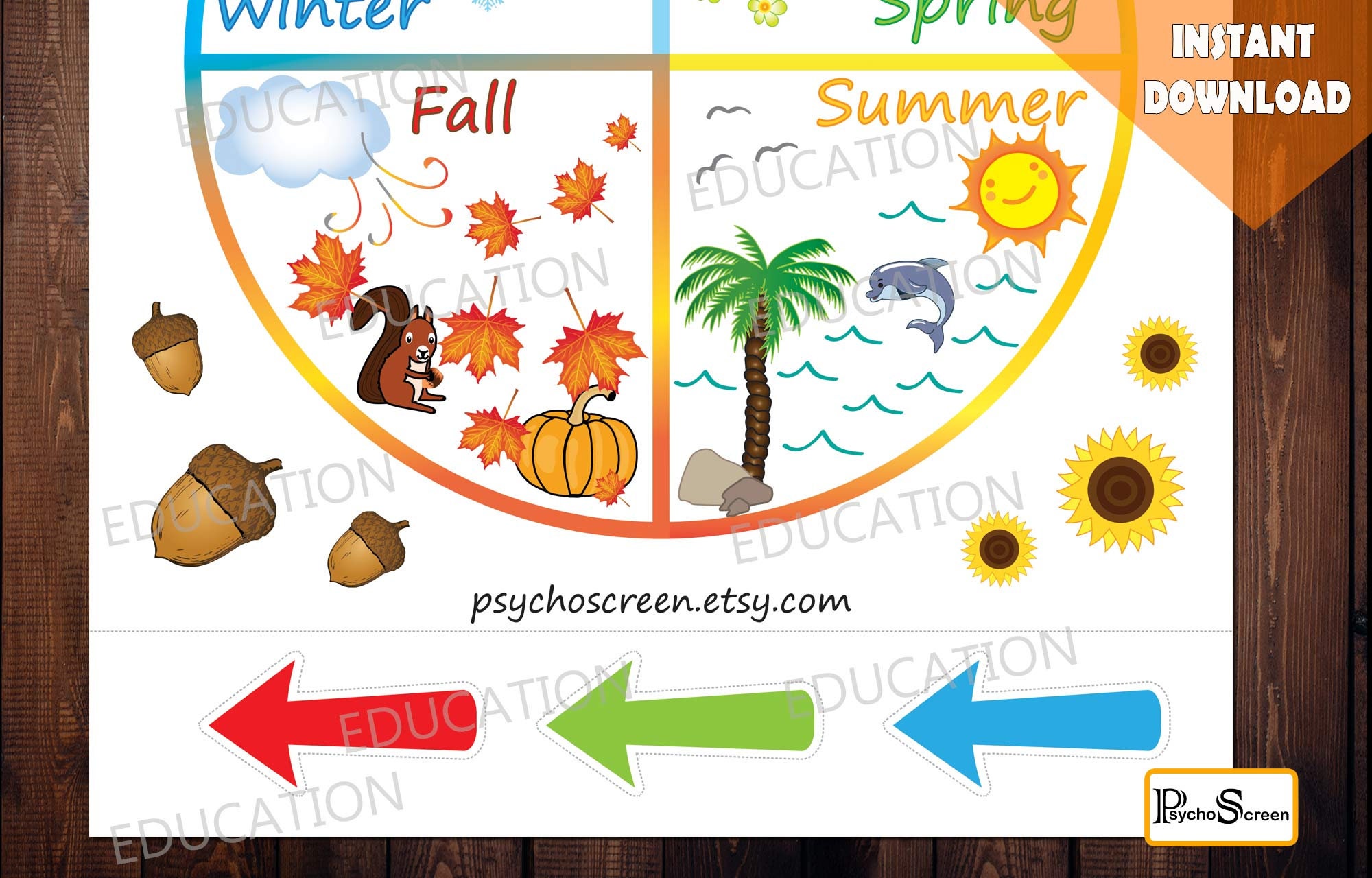 Seasons Diagram For Kids
