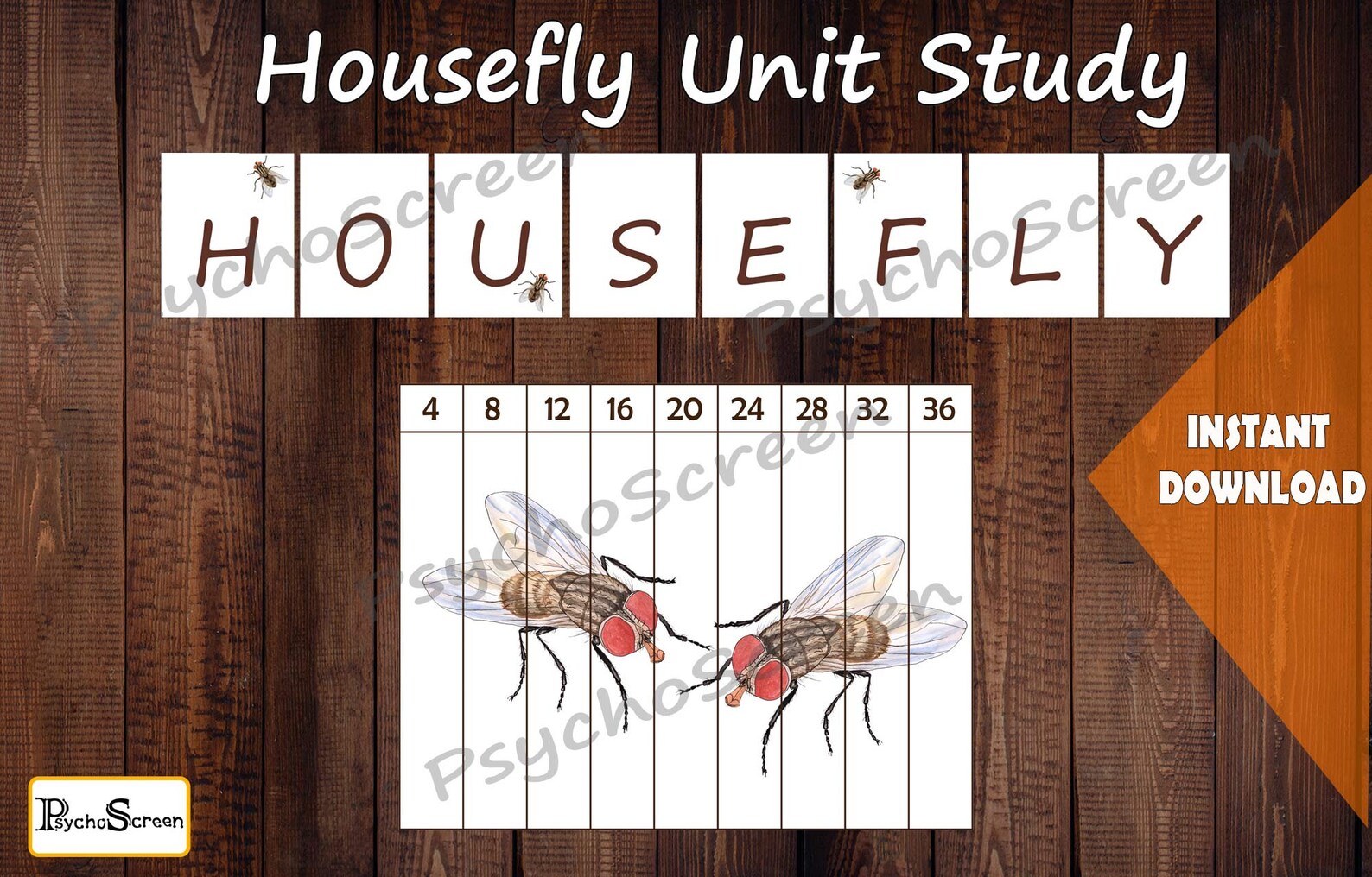 FLY Anatomy Unit Study MINI Printable Flies Bundle Nature | Etsy