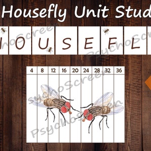 HOUSEFLY Unit Study ,MEGA Printable Flies Bundle With Posters, Anatomy ...