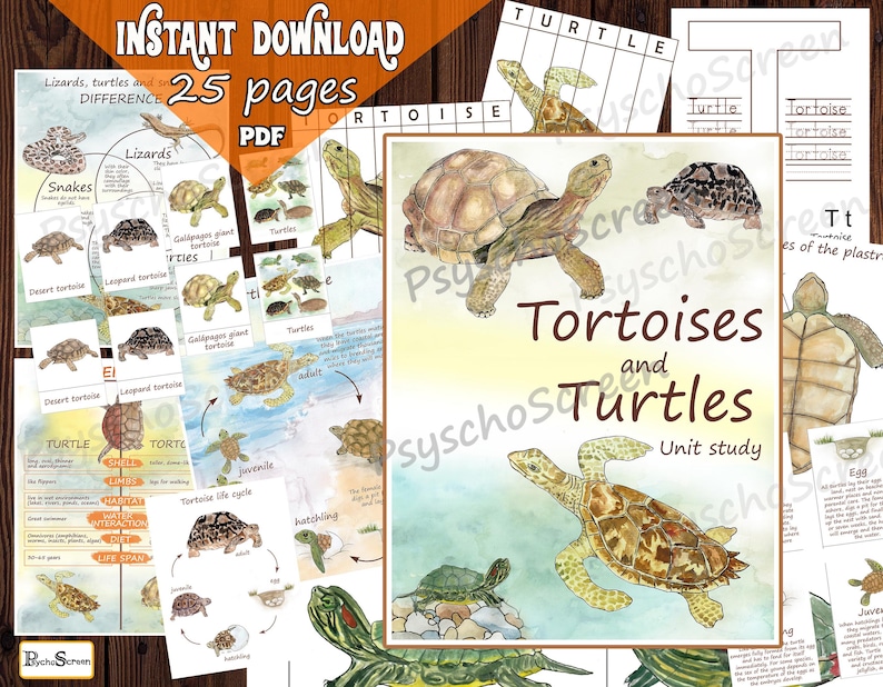 Reptile Unit Study Bundle: Homeschool Science, Snakes, Turtles, Lizards ...