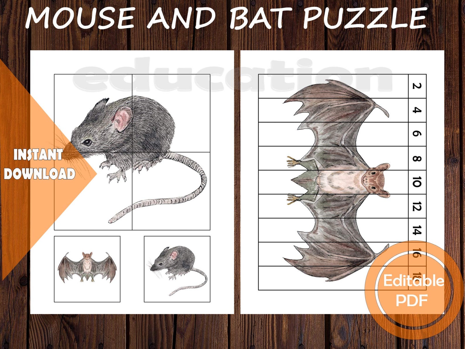 MOUSE & BAT Unit Study MEGA Printable Bundle Posters - Etsy