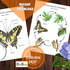 5 NATURE SETS, Bundle of Insects Anatomy and Life Cycle Prints ...