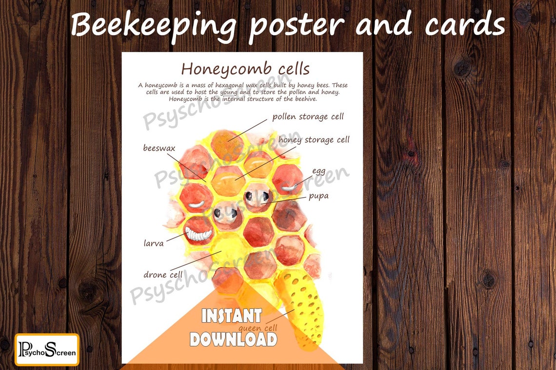 HONEYCOMB CELLS Unit Study MINI Printable Bees Bundle | Etsy