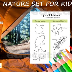 Nature Set Worksheets for Trees, Leaves, Flowers, Plant Lovers Gift ...