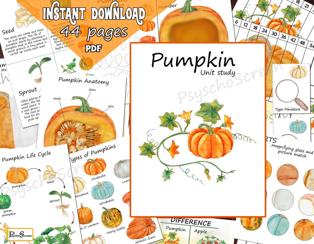 PUMPKIN Unit Study, Printable Pumpkins Bundle, Anatomy Set, Difference ...