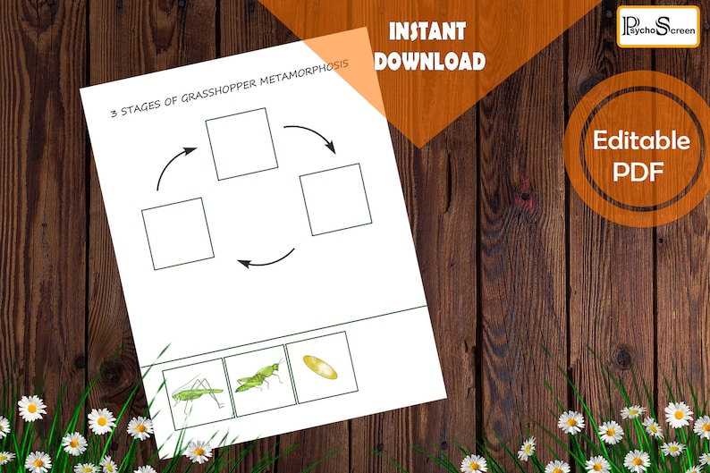 GRASSHOPPER Unit Study MEGA Printable Bundle Anatomy Life | Etsy