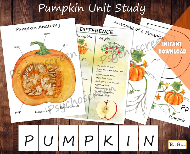 Montessori Pumpkin Anatomy, Life Cycle and Types in Activity Bundle ...